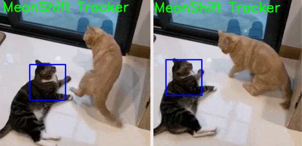5. MeanShift Object Tracking — SunFounder AI Fusion Lab Kit documentation